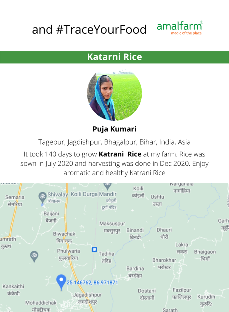 BHAGALPUR KATARNI RICEBHAGALPUR KATARNI RICE - Amalfarm