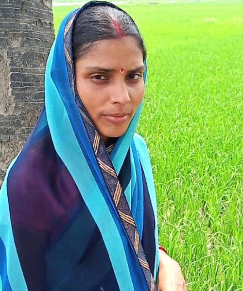 BHAGALPUR KATARNI RICEBHAGALPUR KATARNI RICE - Amalfarm