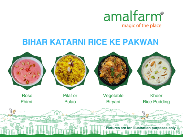 GI tag Katarni Rice from Bihar, India – unique aroma, and taste