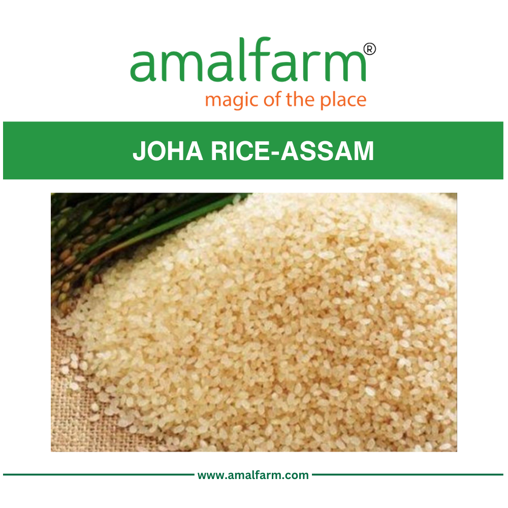 Top 5 Non-Basmati Aromatic Rice Varieties in India - Amalfarm