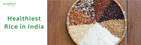 Healthiest Rice in India | Top Nutritious Rice Varieties