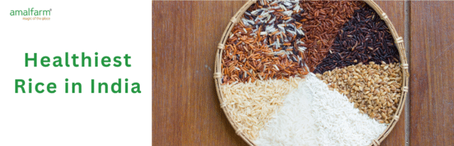 Healthiest Rice in India | Top Nutritious Rice Varieties