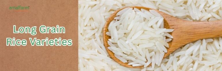 Types of Indian Rice | Popular & Traditional Varieties